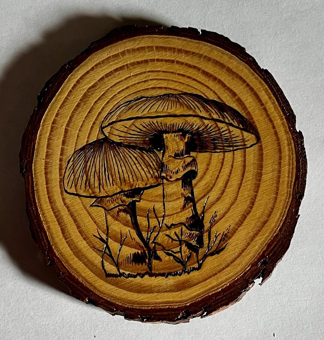 Set of Two Woodland Mushroom Coasters - Etsy