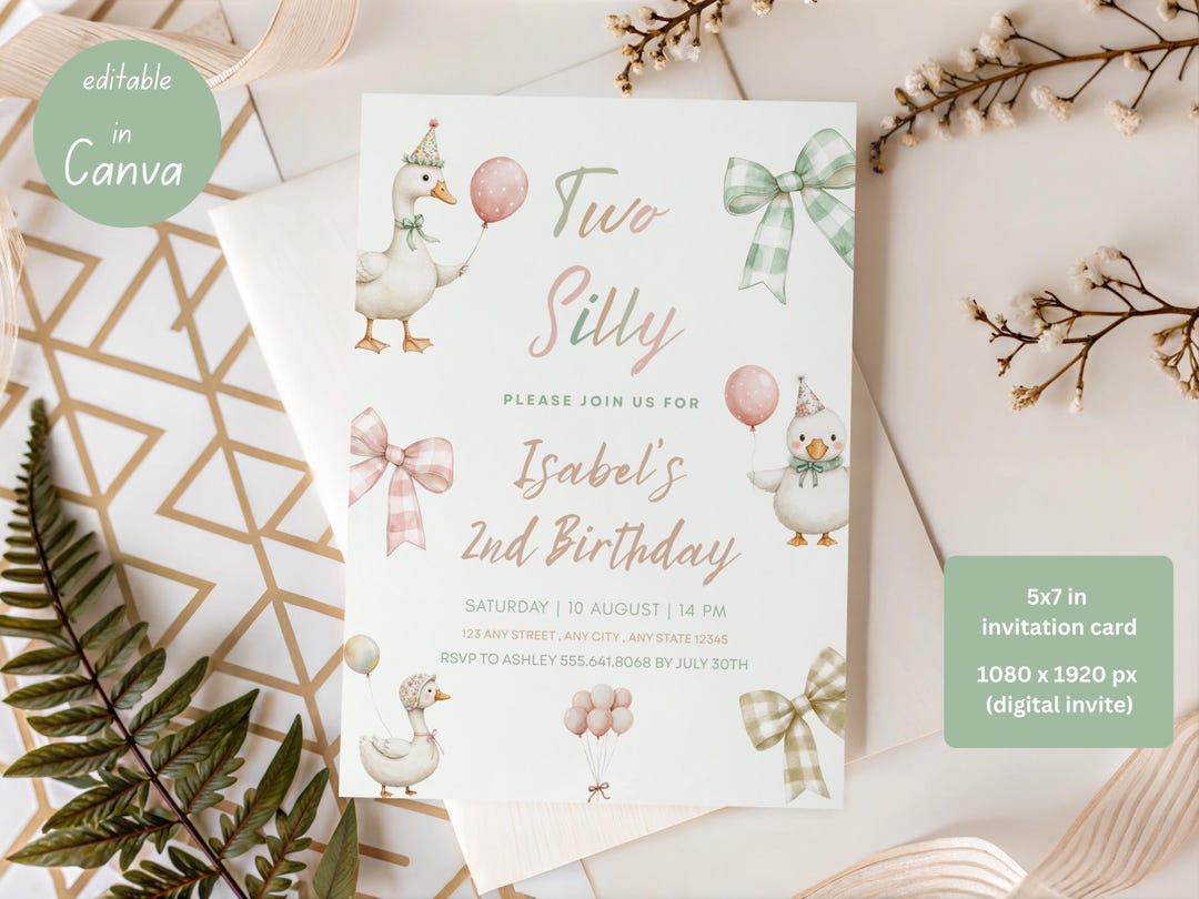 Two Silly 2nd Birthday Invitation, Girl 2nd Birthday Invitation Goose ...