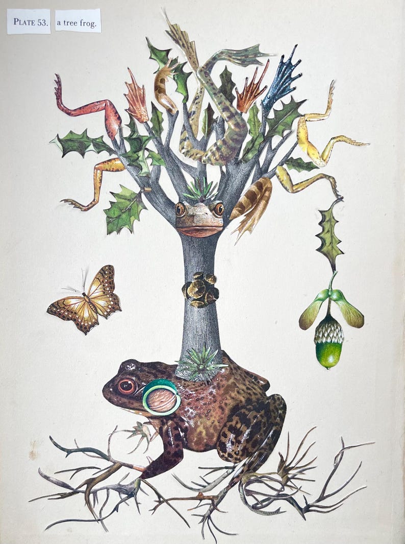 Tree Frog Original Collage Art by Katie Mccann - Etsy UK