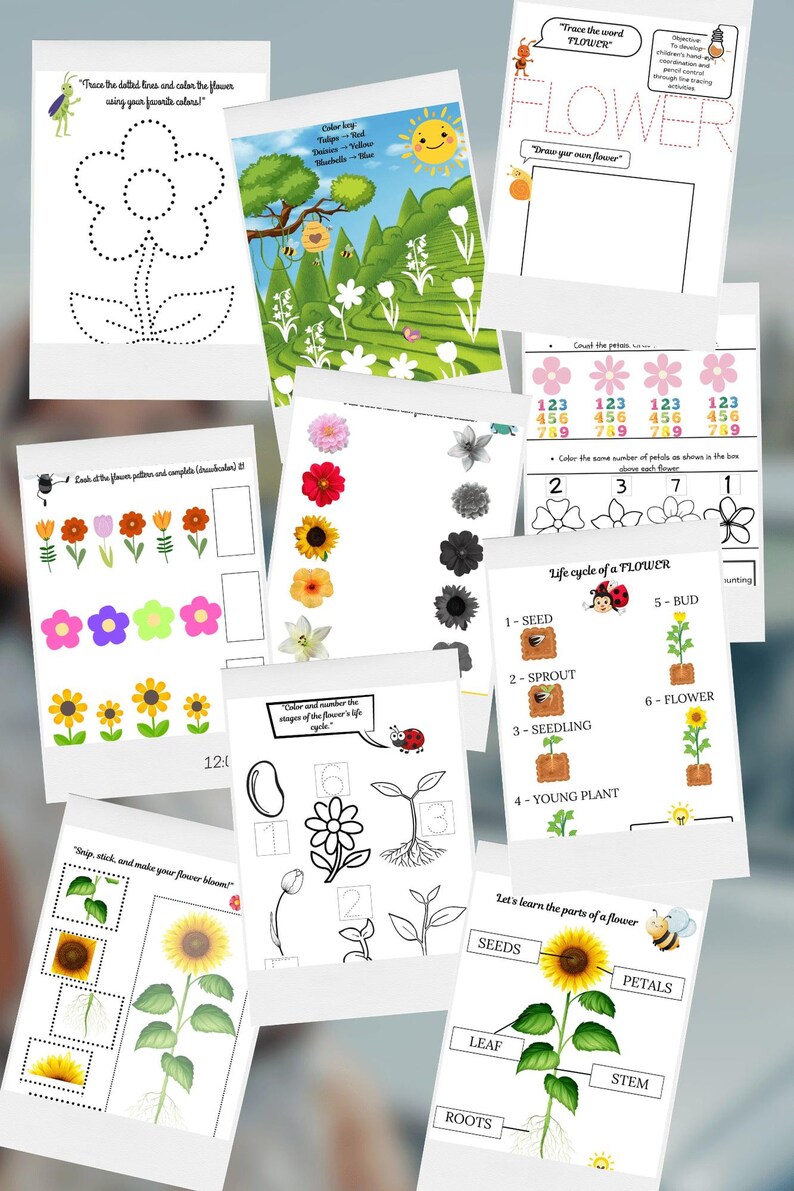 Flower Printable Activity Pack for Preschoolers: Early Learning ...