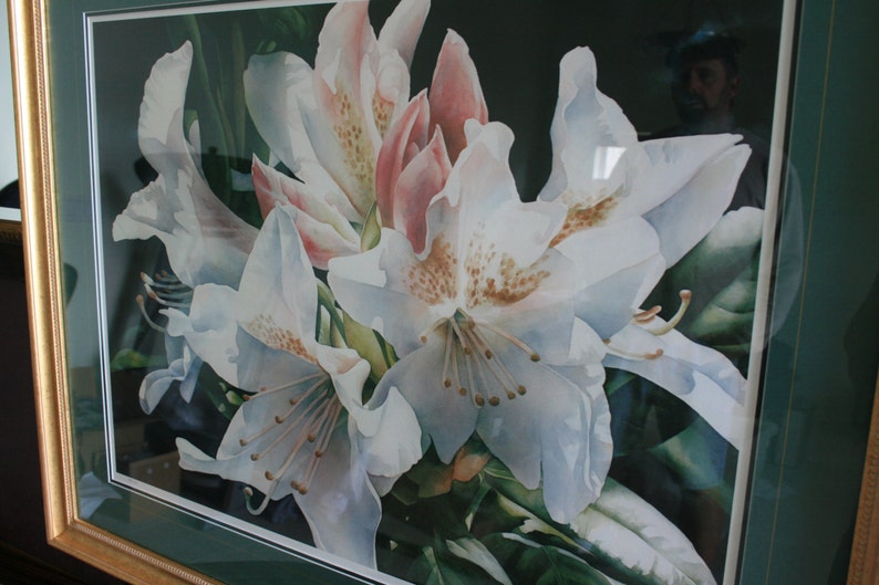 Arleta Pech Print Rhododedrons Offset Litho S/n 550 1991 - Gold Frame ...