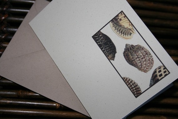 Sea Shell Note Cards Inspirational Handmade 'by the - Etsy
