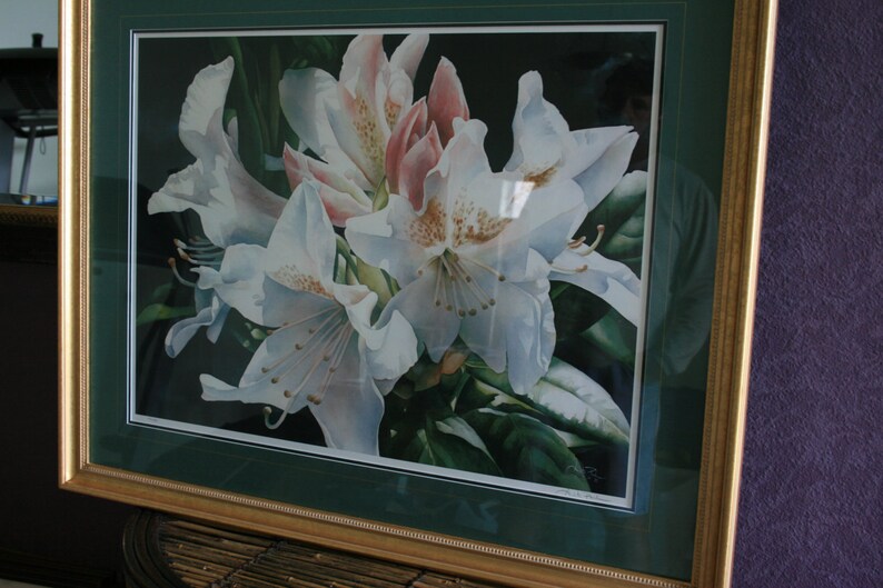 Arleta Pech Print Rhododedrons Offset Litho S/n 550 1991 - Gold Frame ...