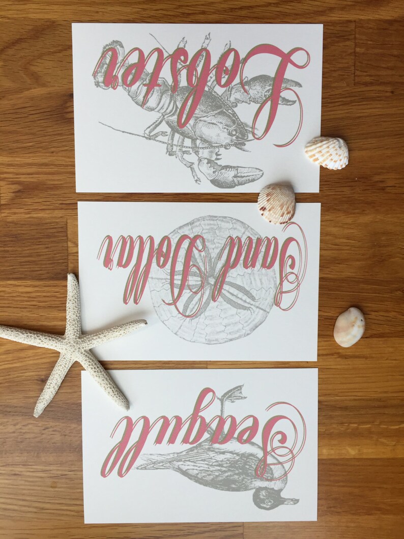 Sea Shell Table Numbers for Beach and Nautical Receptions - Etsy