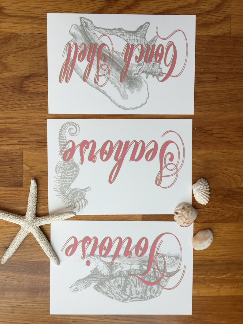 Sea Shell Table Numbers for Beach and Nautical Receptions - Etsy