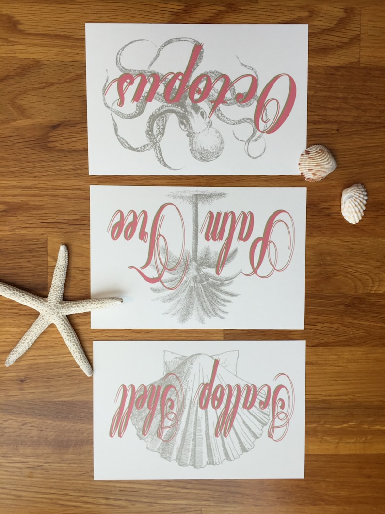 Sea Shell Table Numbers for Beach and Nautical Receptions - Etsy