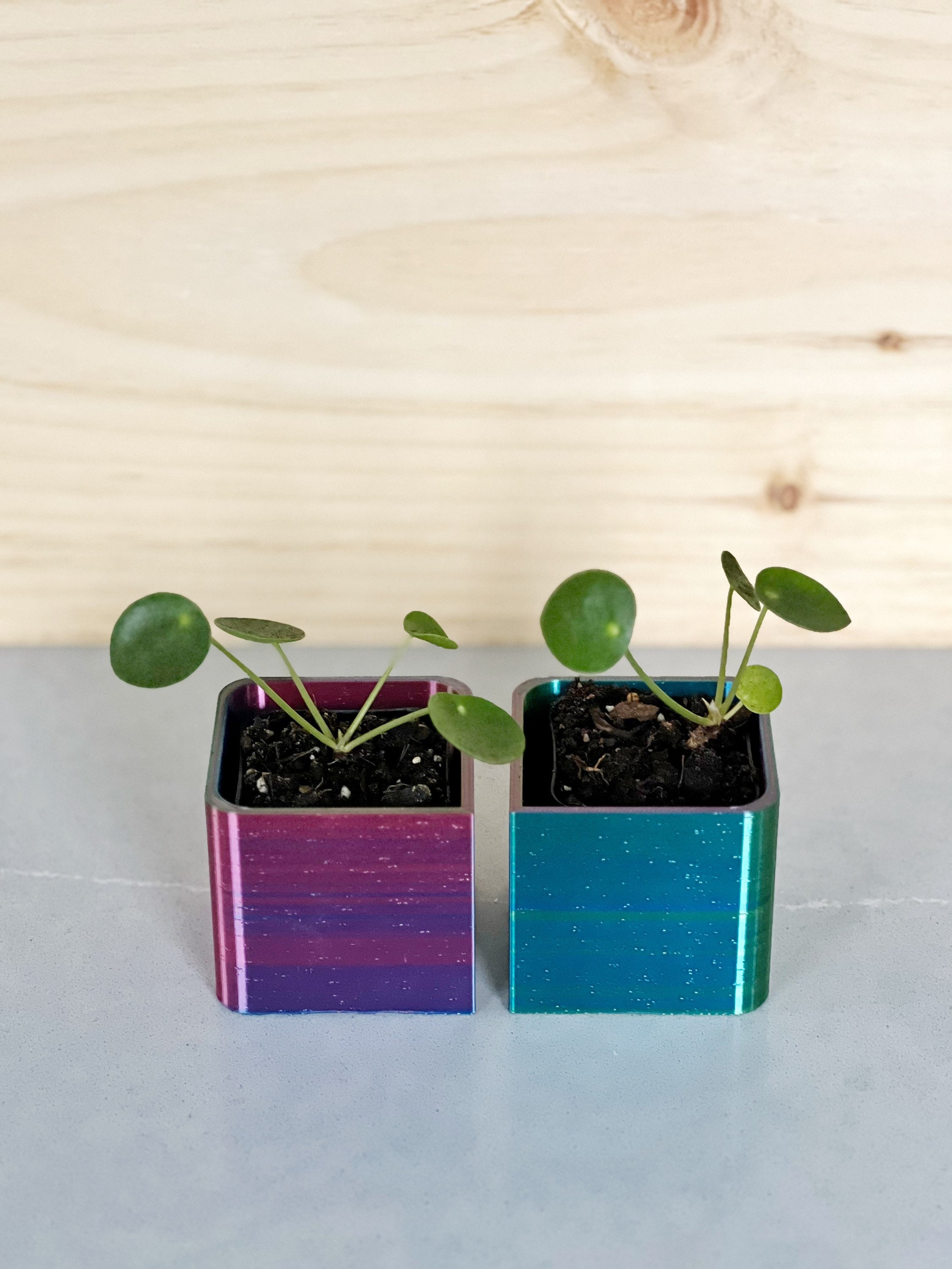 Rainbow Iridescent Planter, Square Succulent Plant Pot, 3D Printed ...