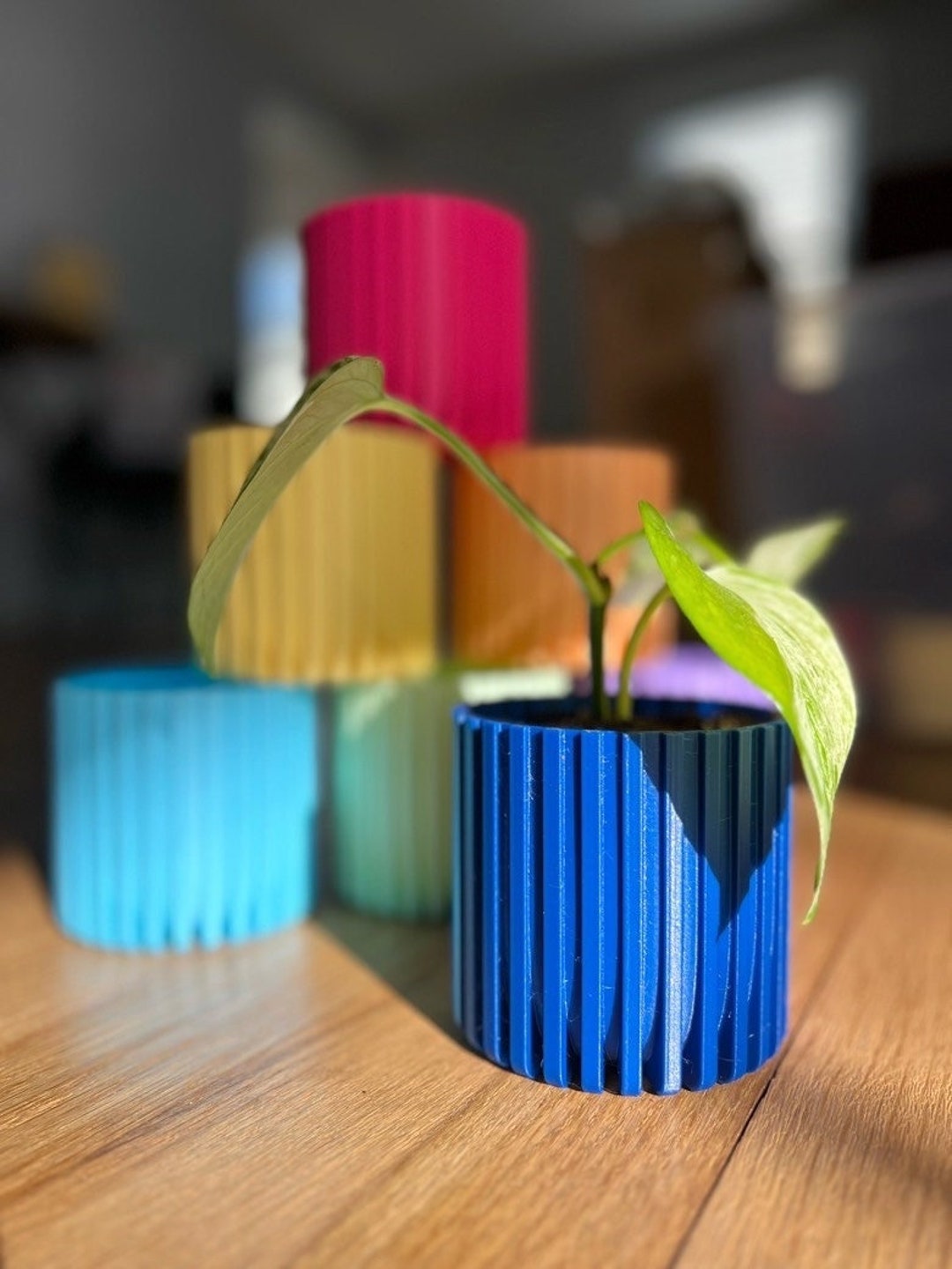 Modern Bright Planter | 3D Printed 3” House Plant Pot, Colorful ...