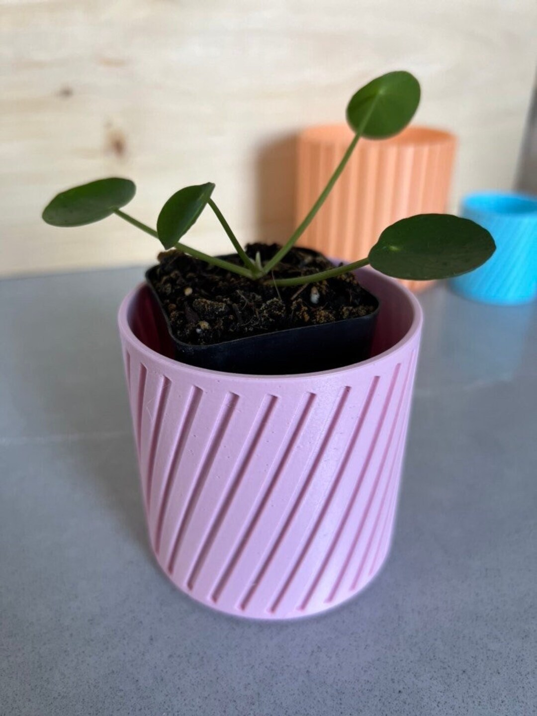 Modern Minimal Diagonal Pattern Planter | 3D Printed Indoor Plant Pot ...