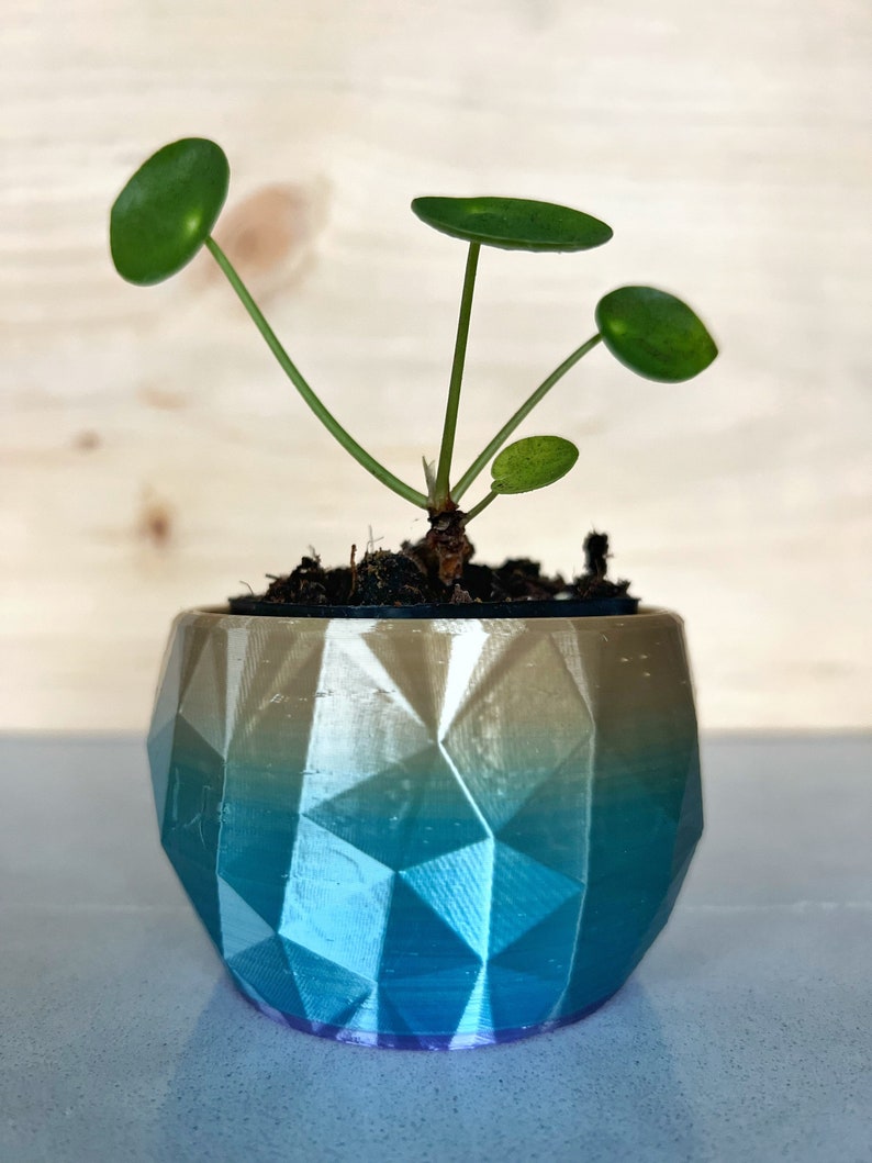 3 Rainbow Polygon Planter Succulent Plant Pot Small Rainbow Planter 3d ...