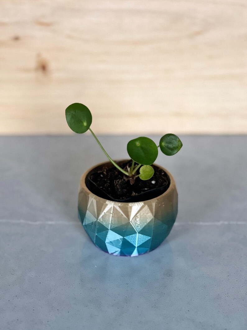 3 Rainbow Polygon Planter Succulent Plant Pot Small Rainbow Planter 3d ...