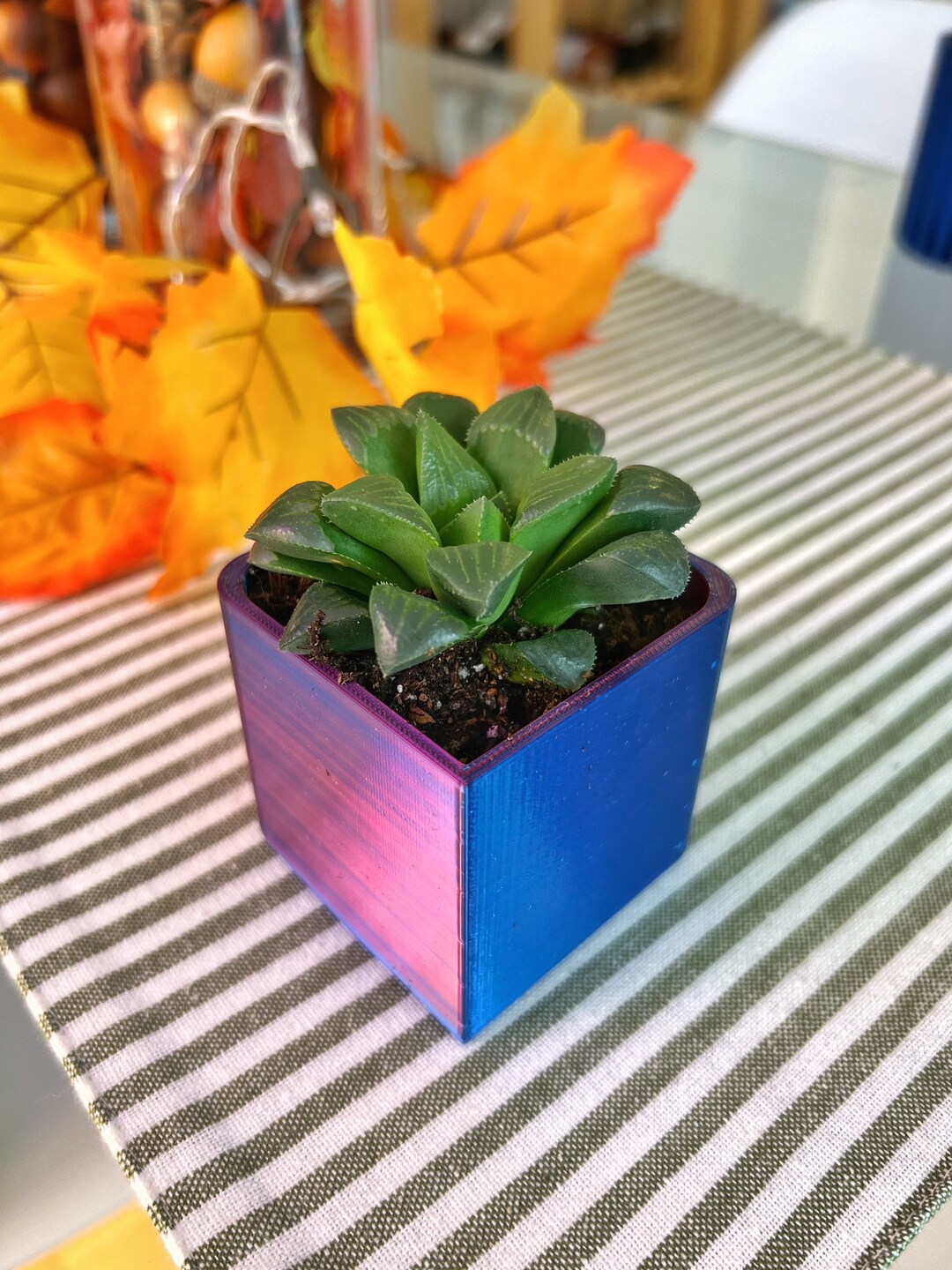 Rainbow Iridescent Planter, Square Succulent Plant Pot, 3D Printed ...