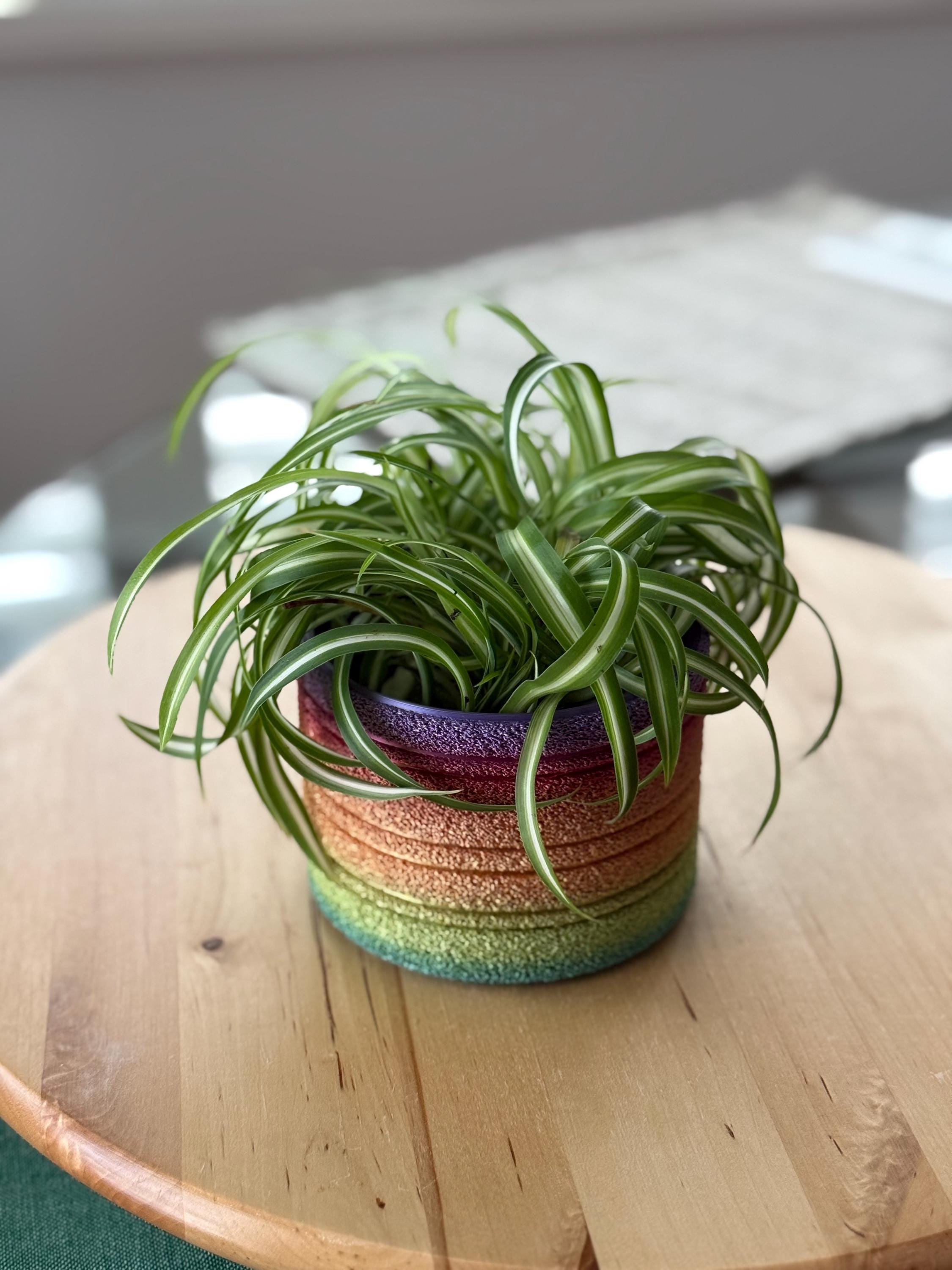 Fuzzy Rainbow Planter: 3D Printed Colorful Plant Pot With Drainage [new ...