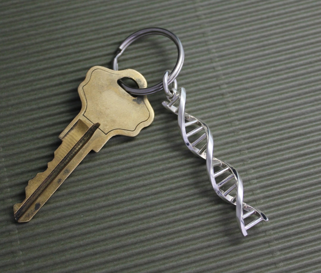 DNA Keychain Charm gift for science Large DNA Keychain size 2" length, Solid Sterling Silver ...