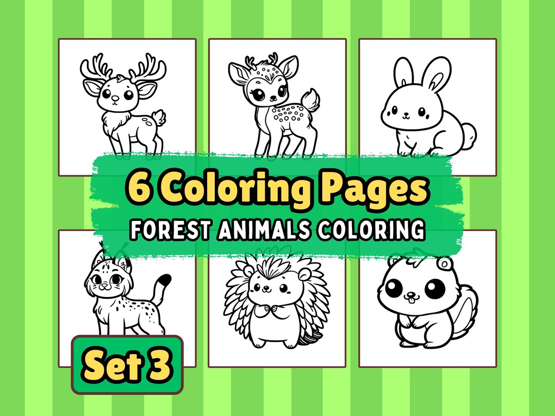 SET 3 | Forest Animals Coloring Book – 6 Bold and Easy Pages for Kids ...