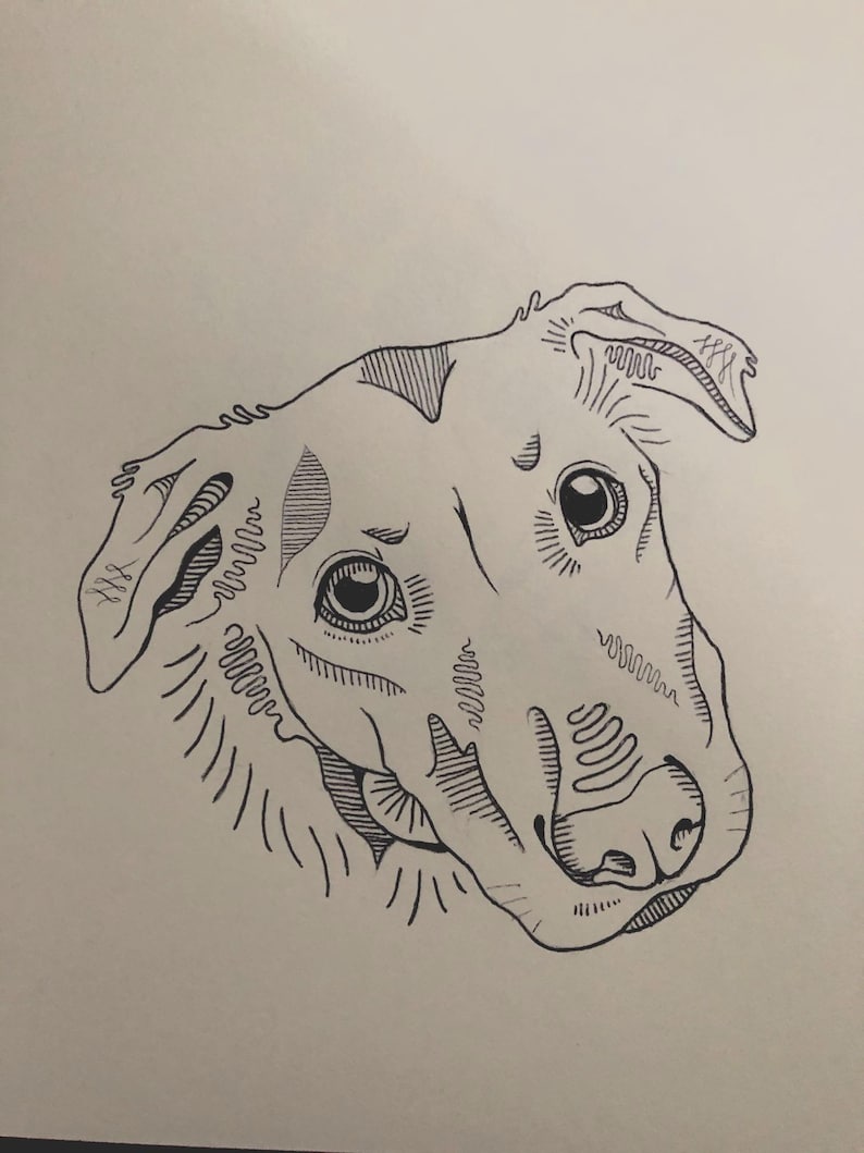 Custom Hand Drawn Pet Illustration | Custom Drawing Pet Portrait | Dog ...