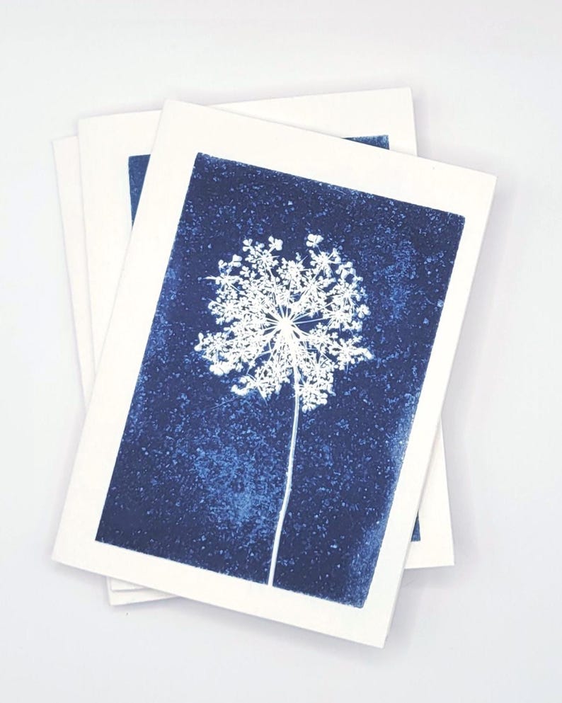 Handmade Cyanotype Note Cards – Set of 4 – Fit for a Queen Collection ...