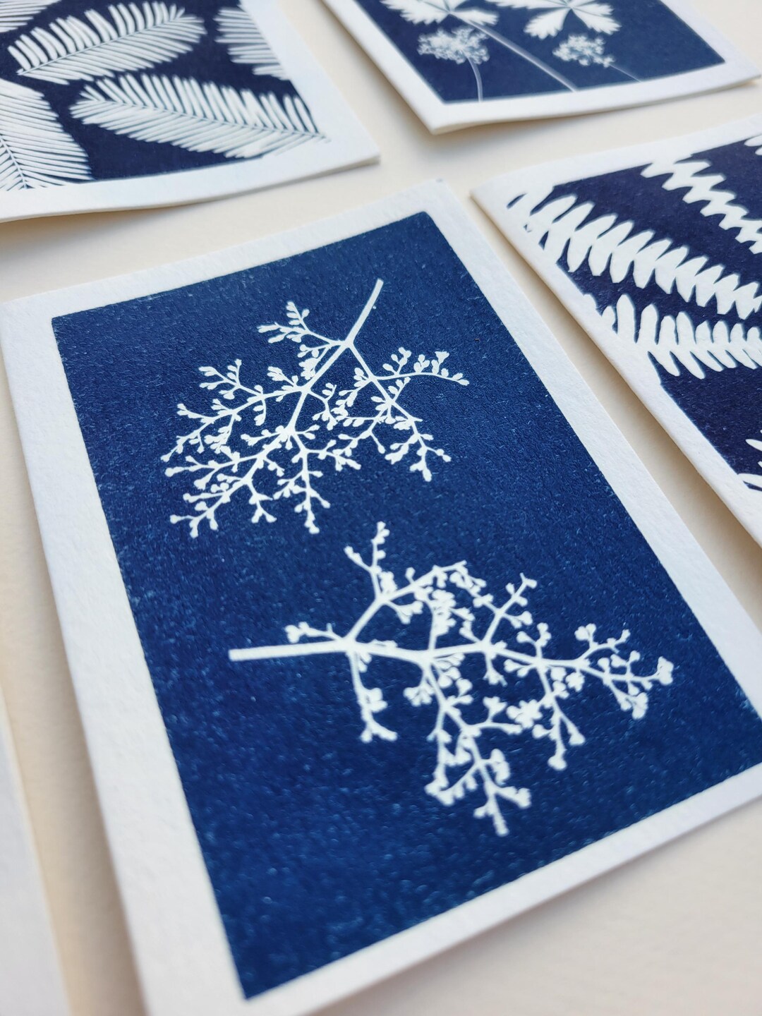 Handmade Cyanotype Note Card – Single Card – Original Sun-printed ...