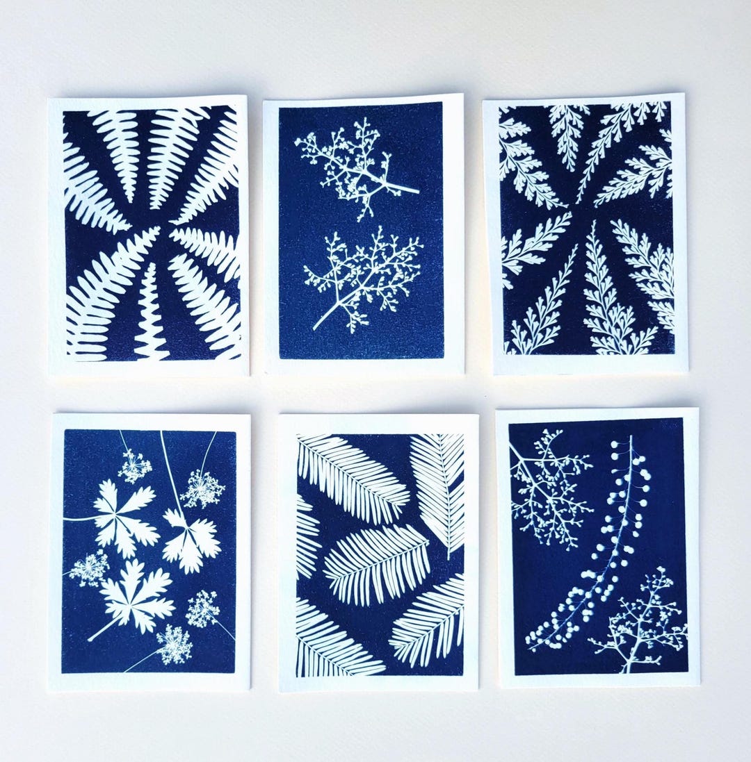 Handmade Cyanotype Note Cards – Set of 3 or 6 – Original Sun-printed ...