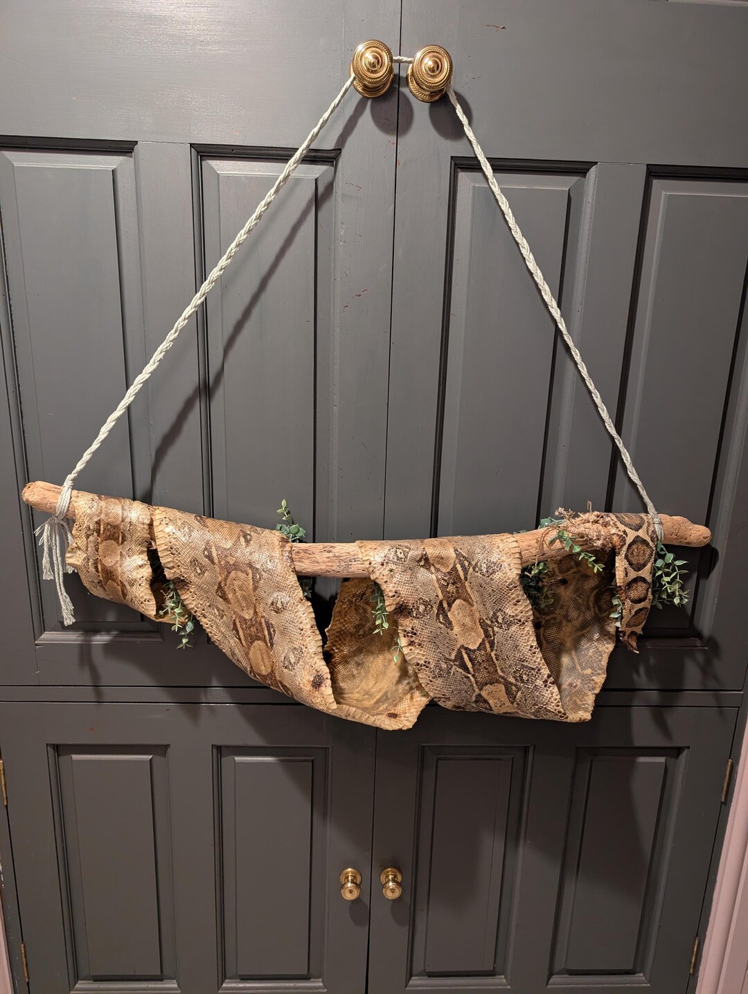 Vintage 6ft Full Skin Boa Constrictor Snake Skin on Driftwood - Etsy