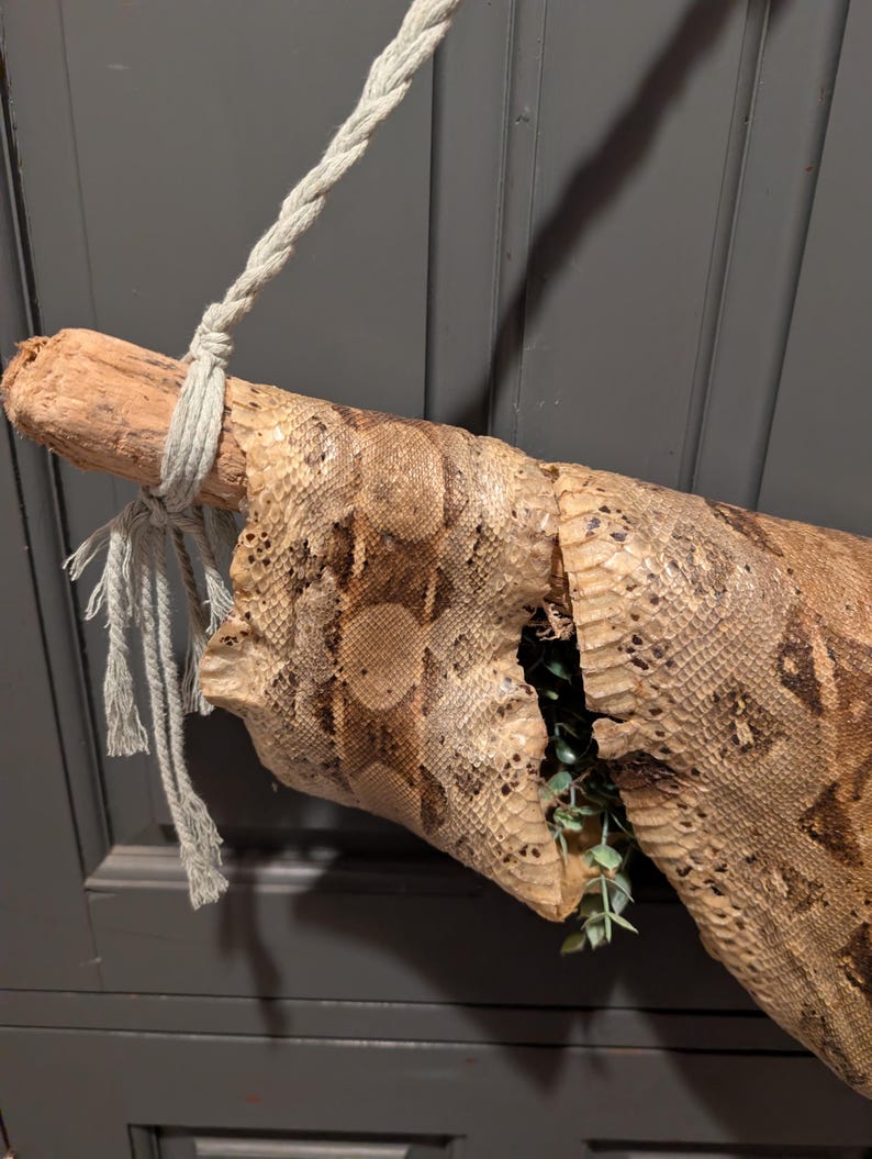 Vintage 6ft Full Skin Boa Constrictor Snake Skin on Driftwood - Etsy UK
