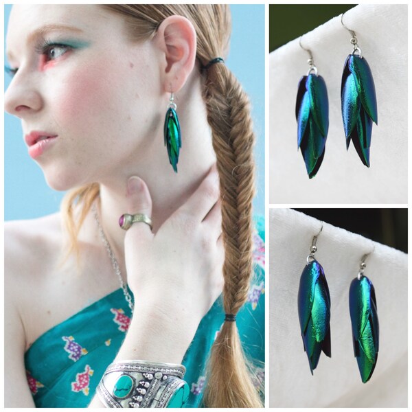 Beetle Earrings - Etsy