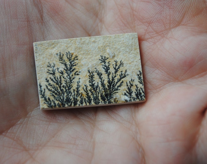 Dendrite Jurassic Era Limestone, Fossil, Snapshot mellow Mineral ...