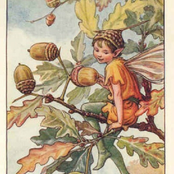 Heather Cross Stitch Pattern Pdf Format Delivered by - Etsy