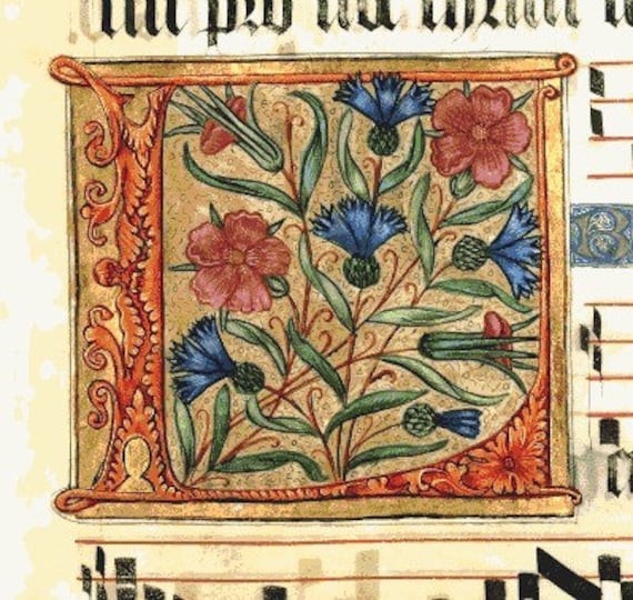 Illuminated Manuscripts Letter L