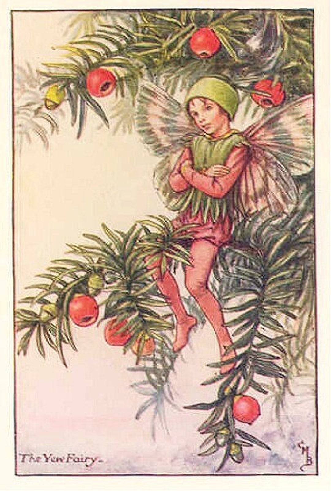 The Yew Fairy - Cross Stitch Pattern, Pdf Format, Delivered by Email ...