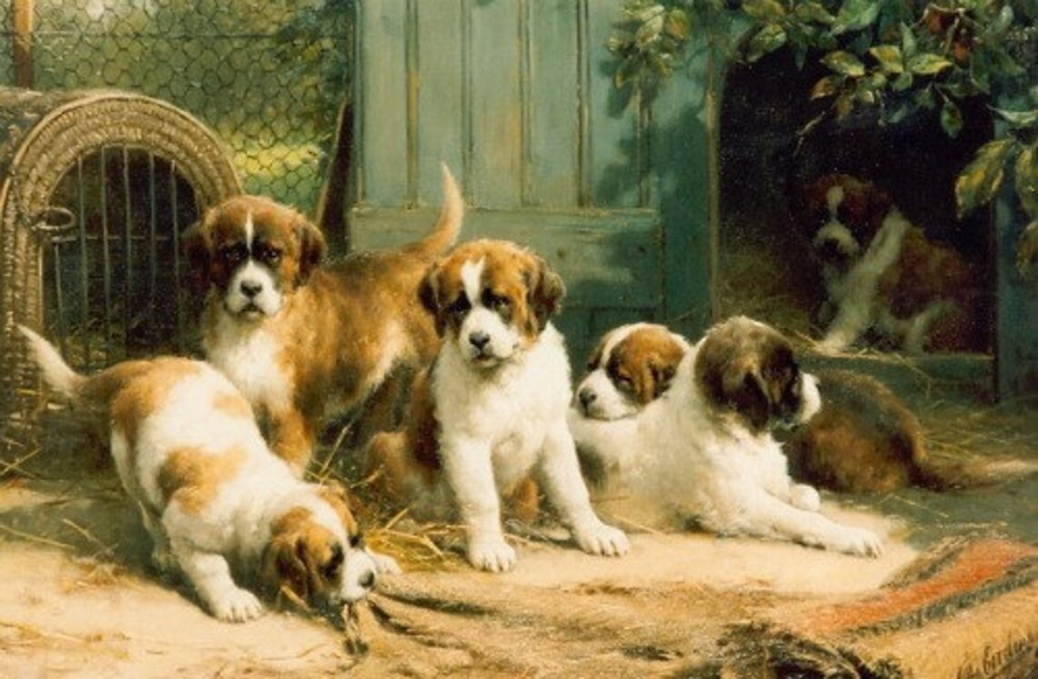 St. Bernard Puppies Cross Stitch Pattern Pdf Format | Etsy