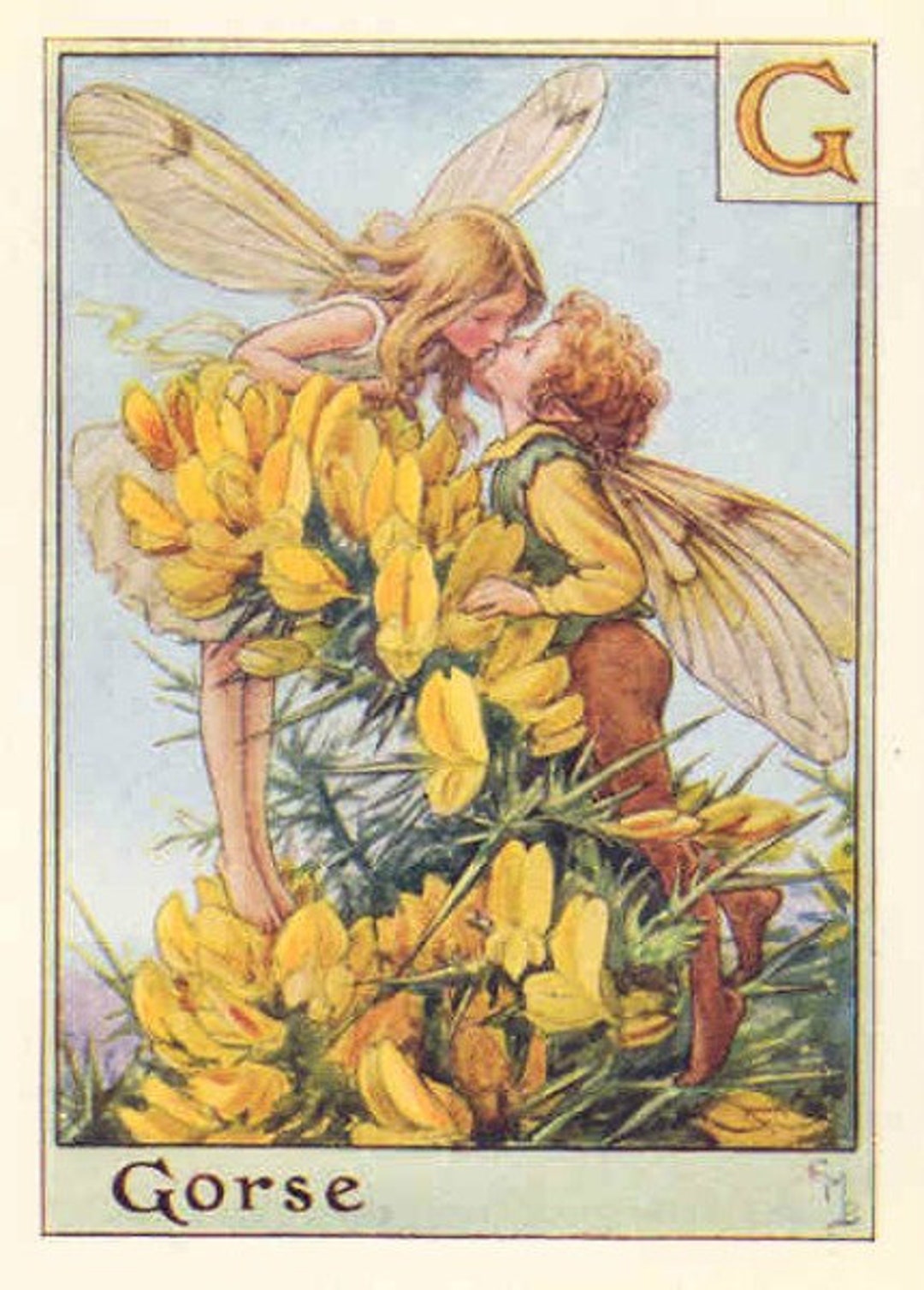 Gorse - Cross Stitch Pattern, Pdf Format, Delivered by Email, Cicely ...