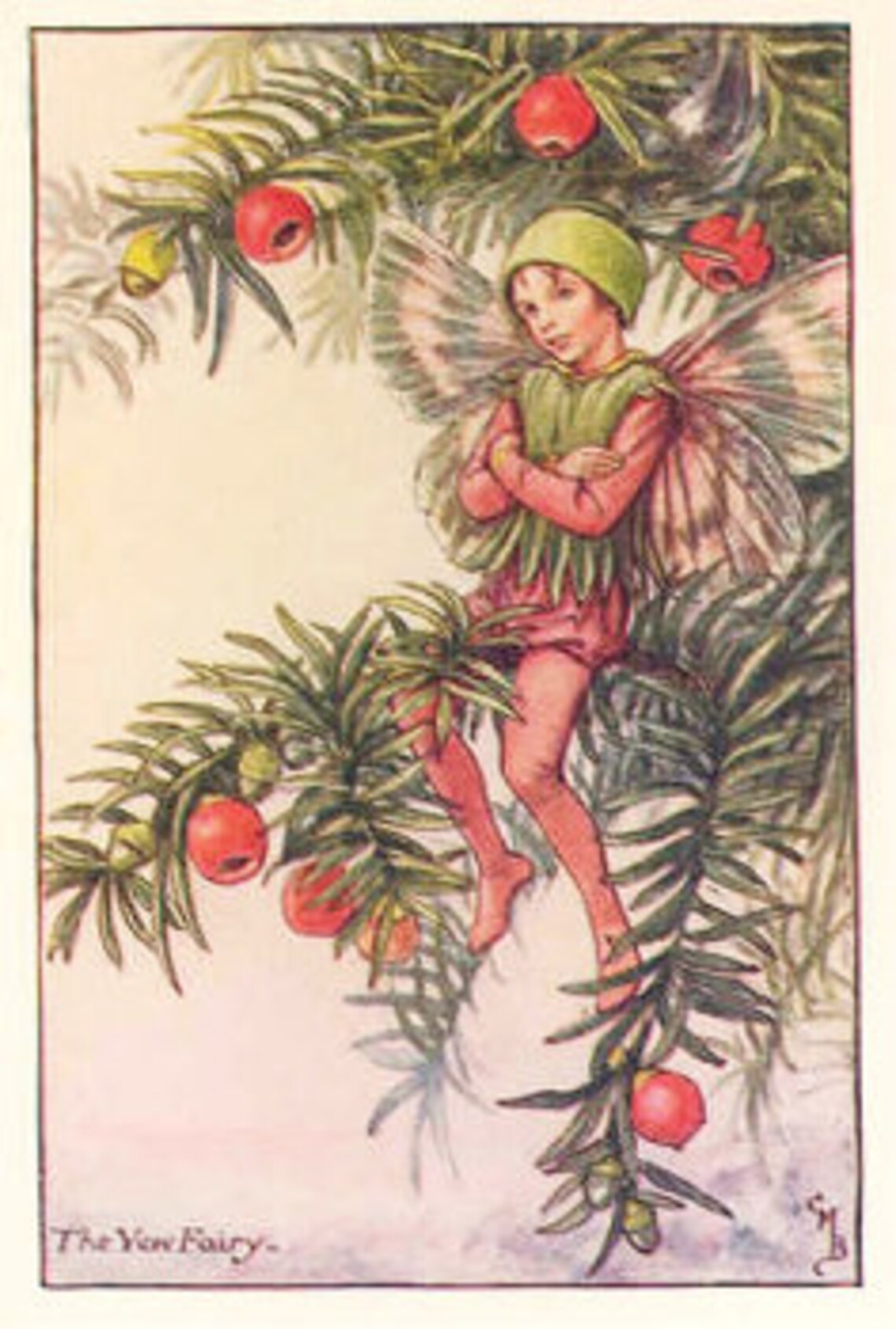 The Yew Fairy Cross Stitch Pattern Pdf Format - Etsy