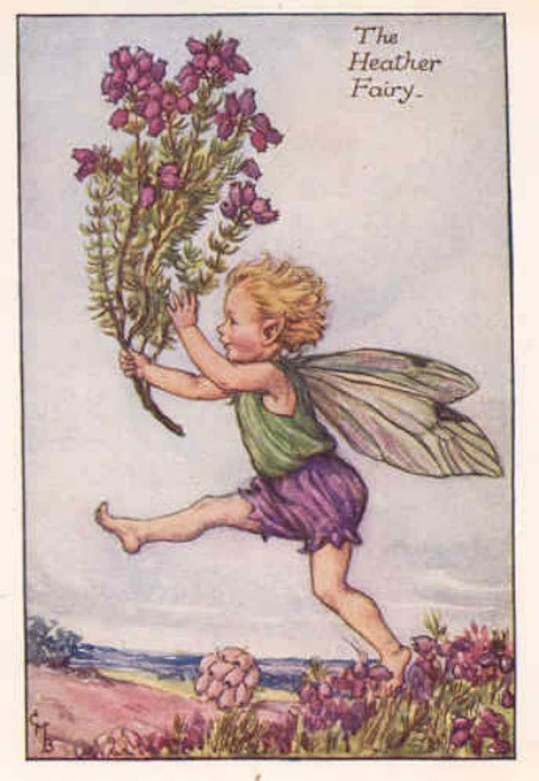 Heather - Cross Stitch Pattern, Pdf Format, Delivered by Email, Cicely ...