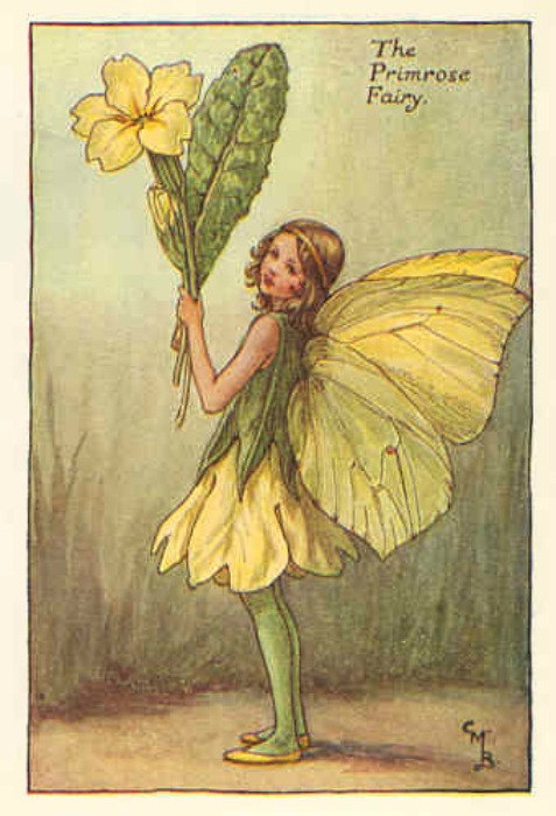 Primrose Cross Stitch Pattern Pdf Format - Etsy