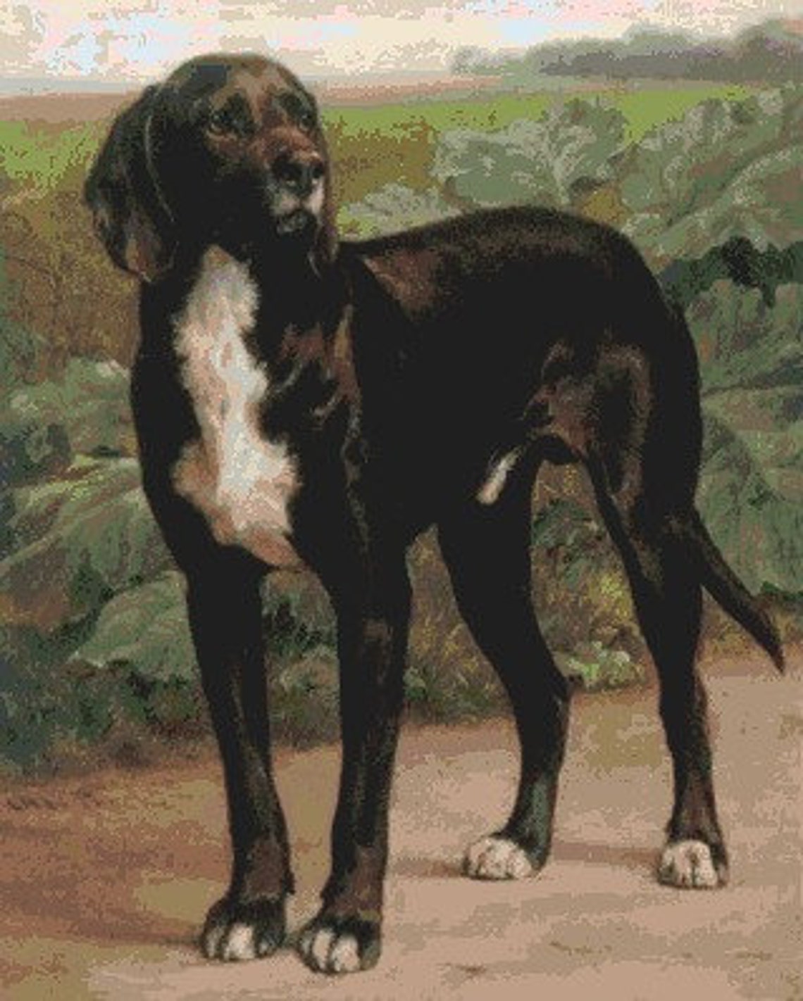 A Danish Pointer Cross Stitch Pattern Pdf Format - Etsy