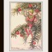 The Yew Fairy - Cross Stitch Pattern, Pdf Format, Delivered by Email ...