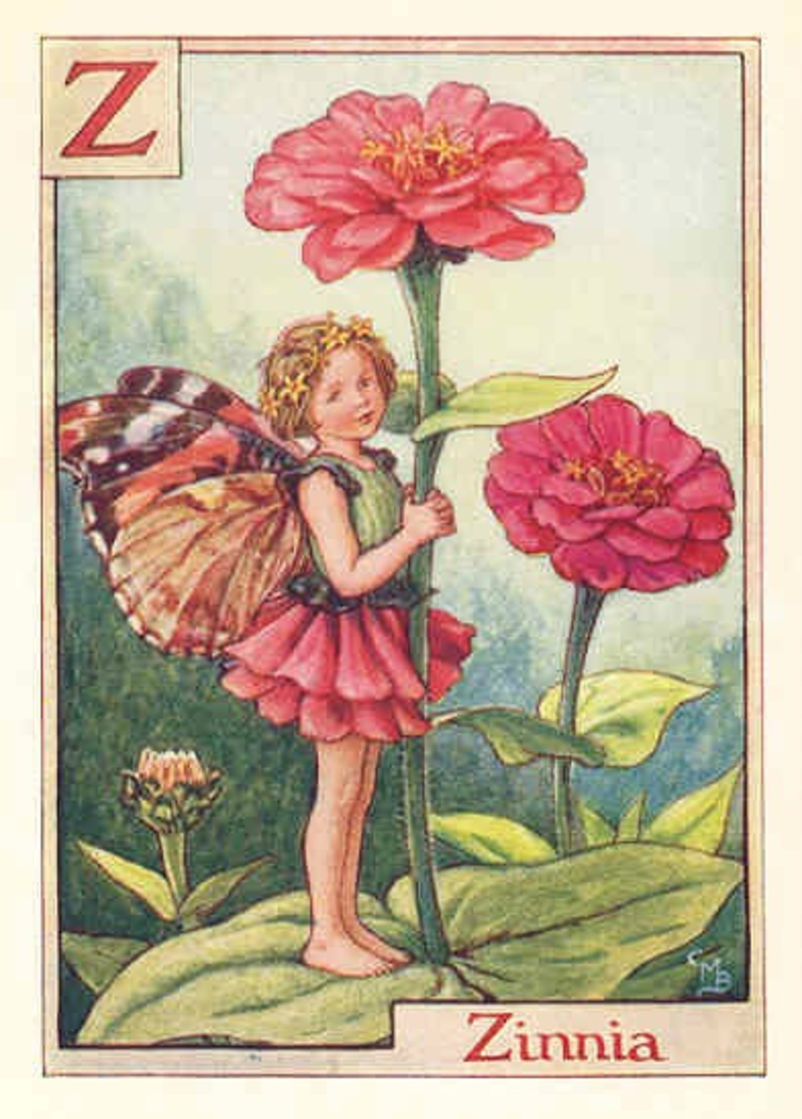 Zinnia - Cross Stitch Pattern, Pdf Format, Delivered by Email, Cicely ...