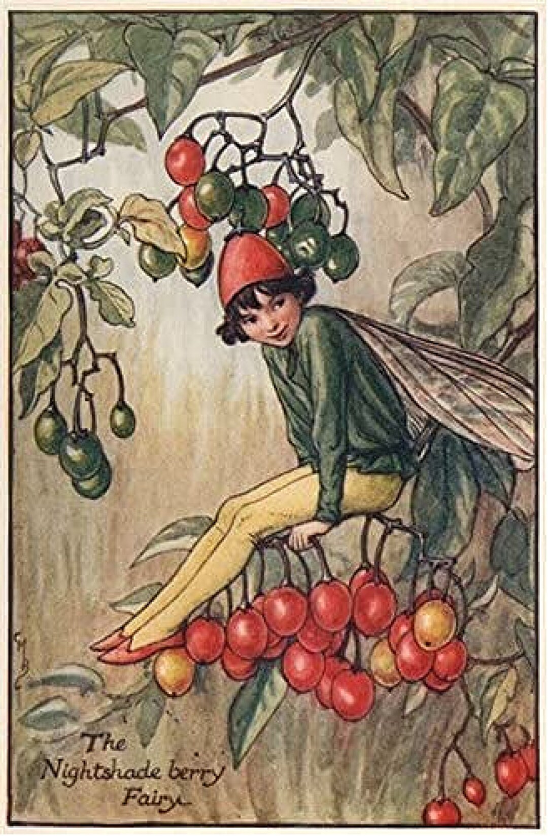 The Nightshade Berry Fairy - Cross Stitch Pattern Pdf Format Delivered ...