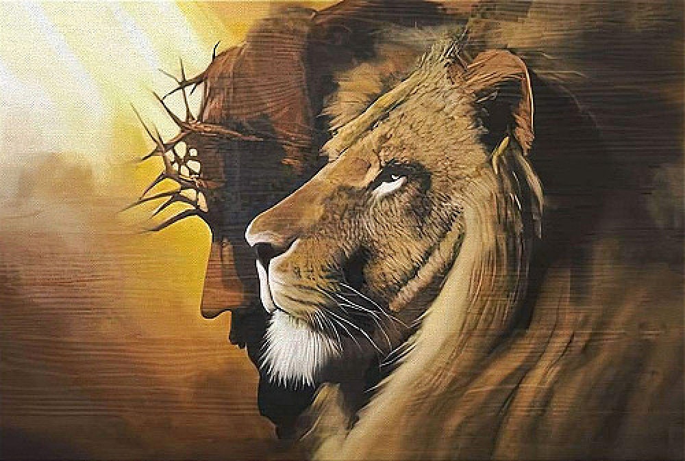 Leeuw Van Juda Tekening Juda Stock Illustrations, Vectors, & Clipart