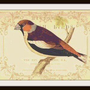 British Birds I - Cross Stitch Pattern, Pdf Format, Delivered by Email ...