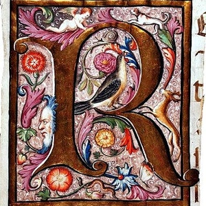 R Medieval Letter Cross Stitch Pattern Pdf Format - Etsy