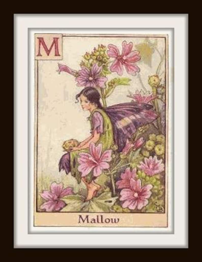 Mallow - Cross Stitch Pattern, Pdf Format, Delivered by Email, Cicely ...