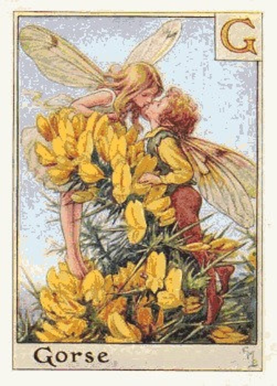 Gorse Cross Stitch Pattern Pdf Format - Etsy
