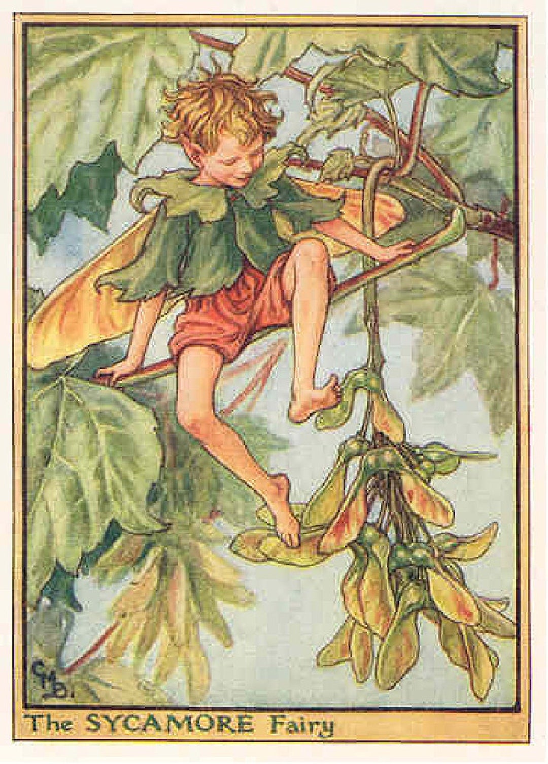 The Sycamore Fairy - Cross Stitch Pattern, Pdf Format, Delivered by ...