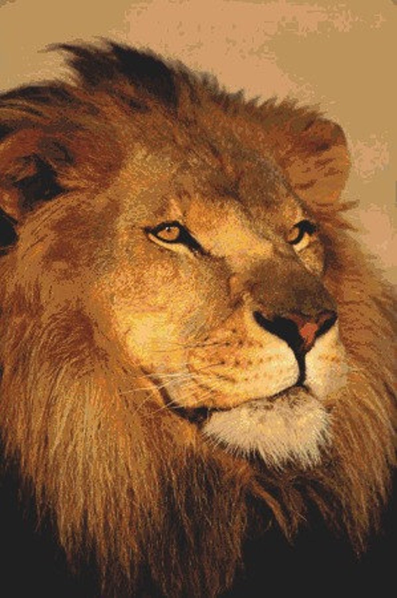 African Lion Cross Stitch Pattern Pdf Format - Etsy