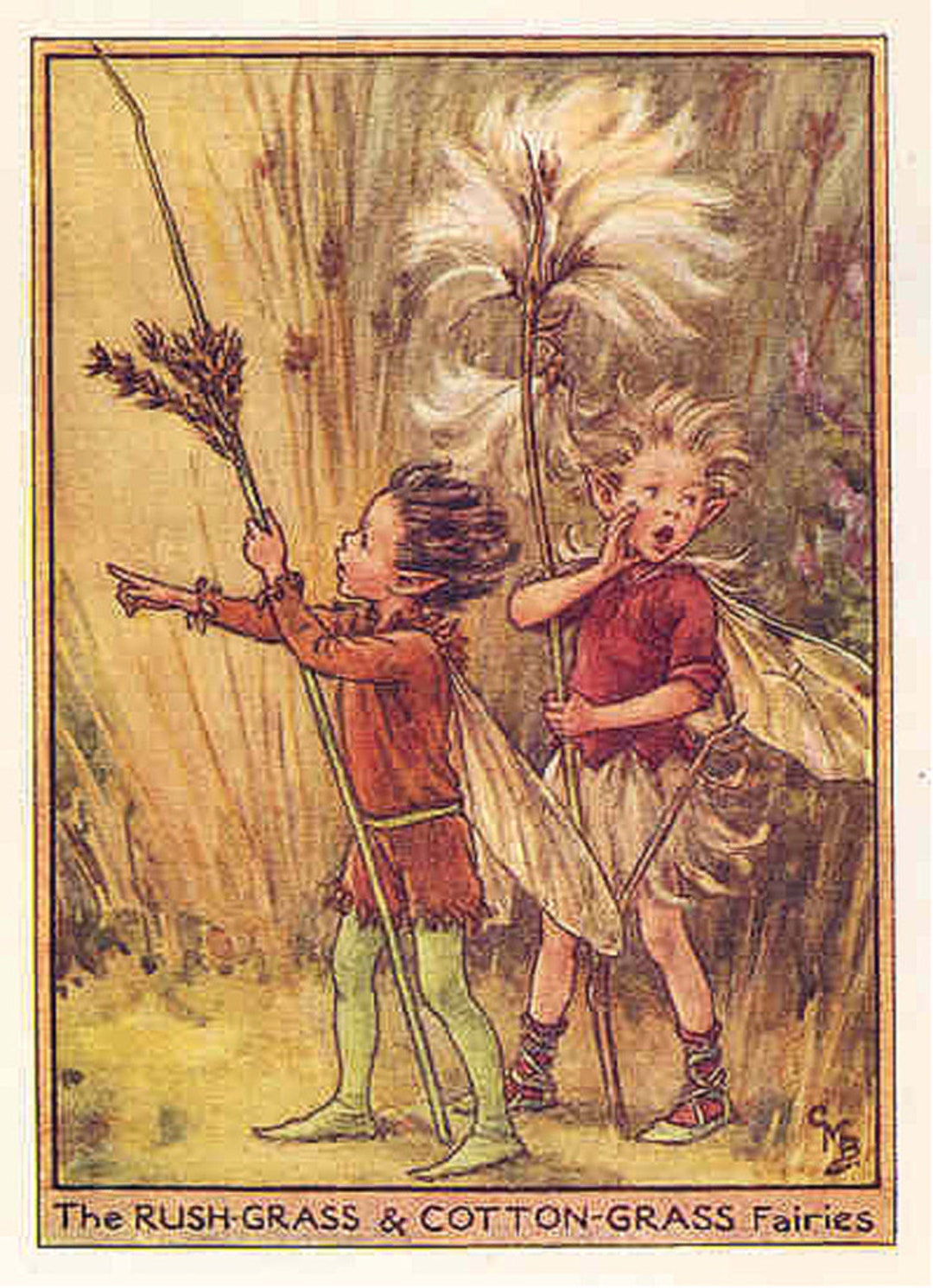 The Rush Grass and Cotton Grass Fairies - Cross Stitch Pattern, Pdf ...