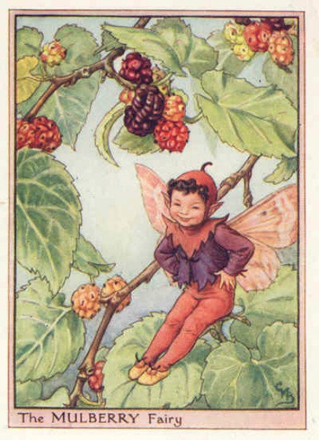 The Mulberry Fairy - Cross Stitch Pattern, Pdf Format, Delivered by ...