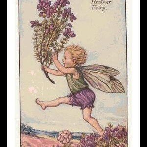 Heather - Cross Stitch Pattern, Pdf Format, Delivered by Email, Cicely ...