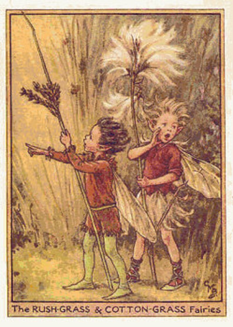 The Rush Grass and Cotton Grass Fairies Cross Stitch Pattern - Etsy